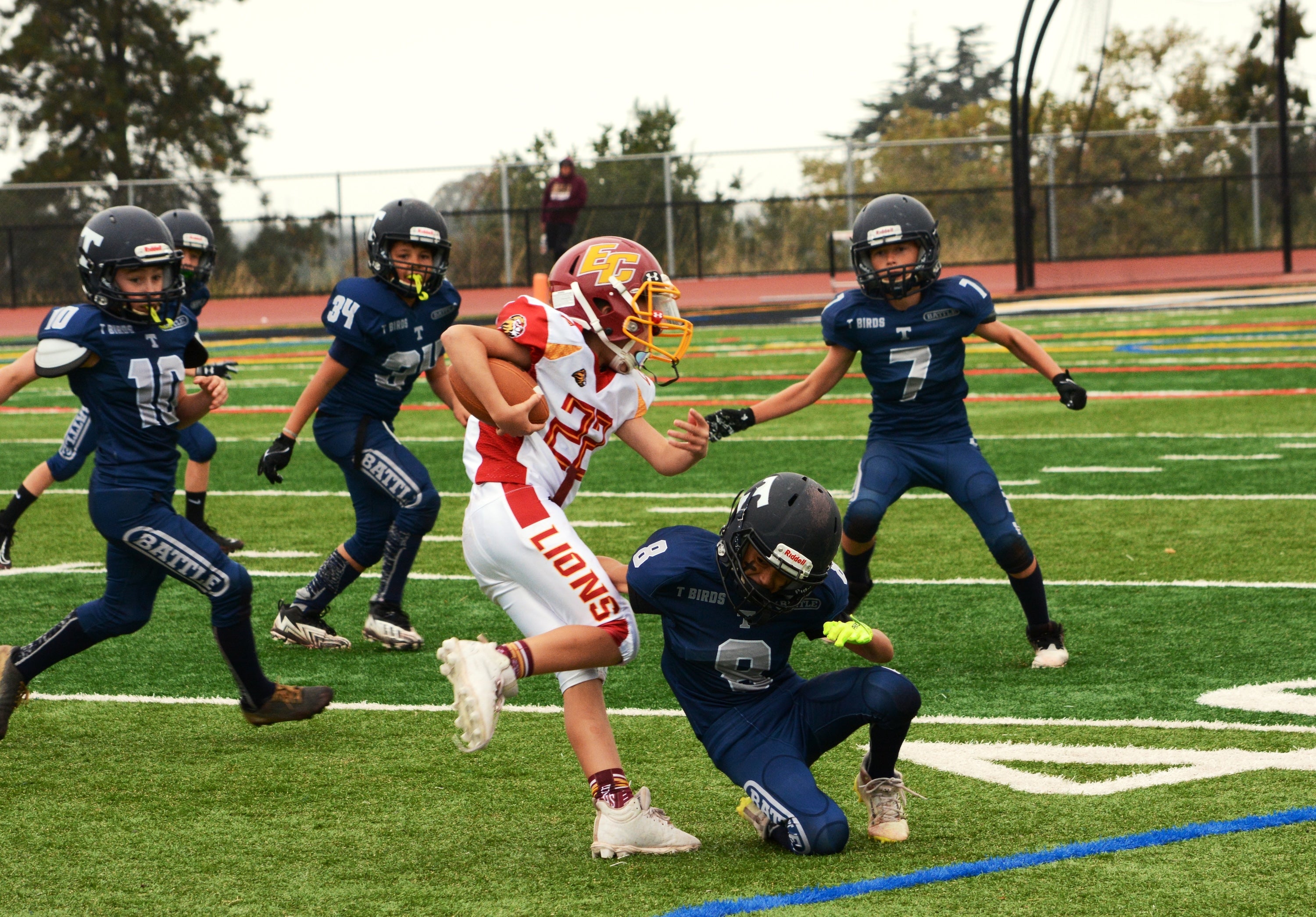 San Ramon Valley Thunderbirds Football & Cheer (T-Birds)